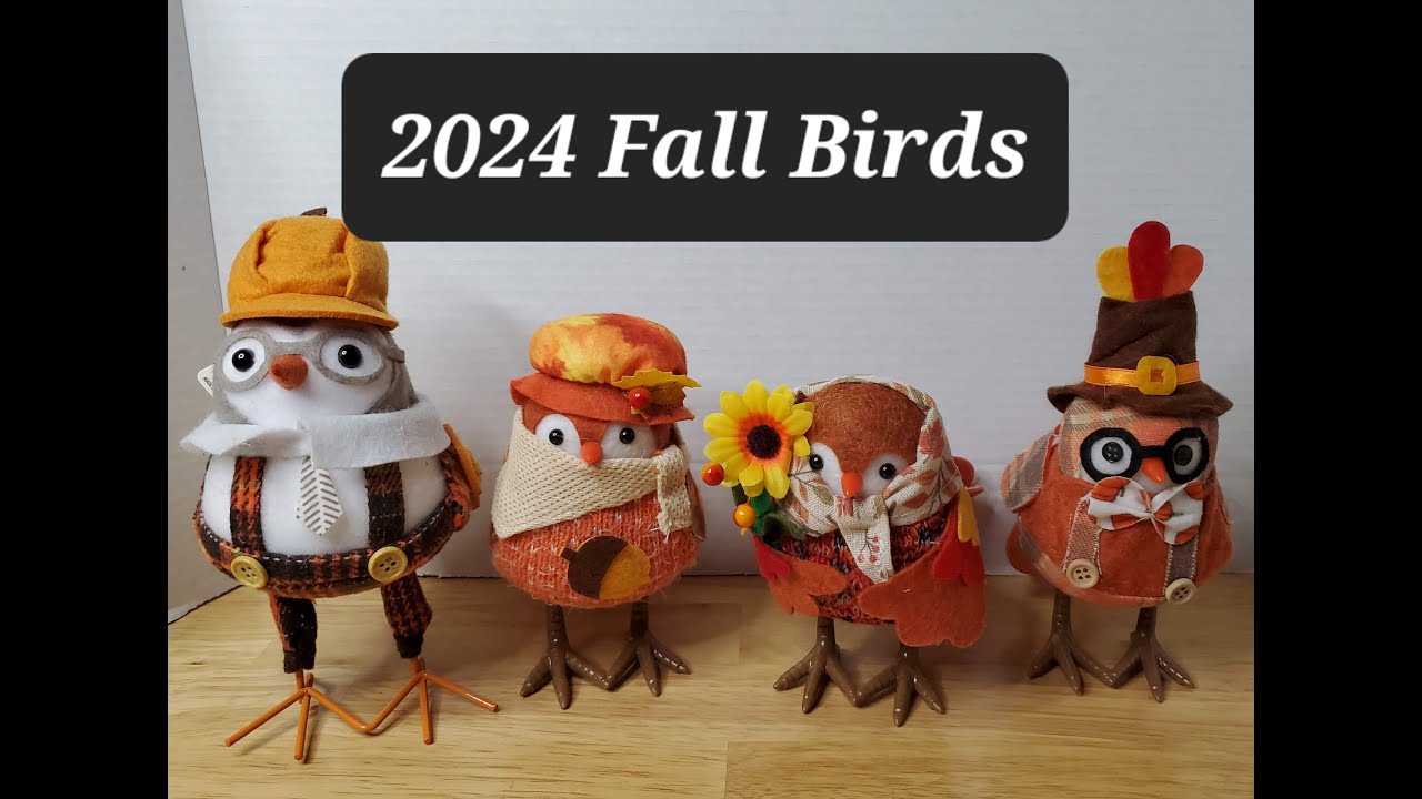 2024 Fall Birds - YouTube