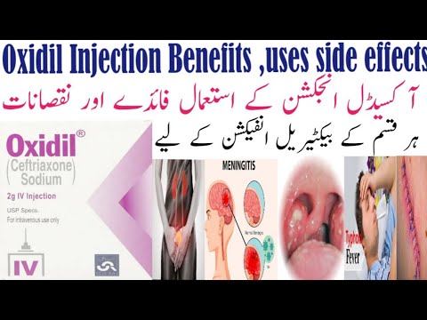 Oxidil Injection Uses in Urdu|Benefits of Oxidil Inj|Side efficts of ...