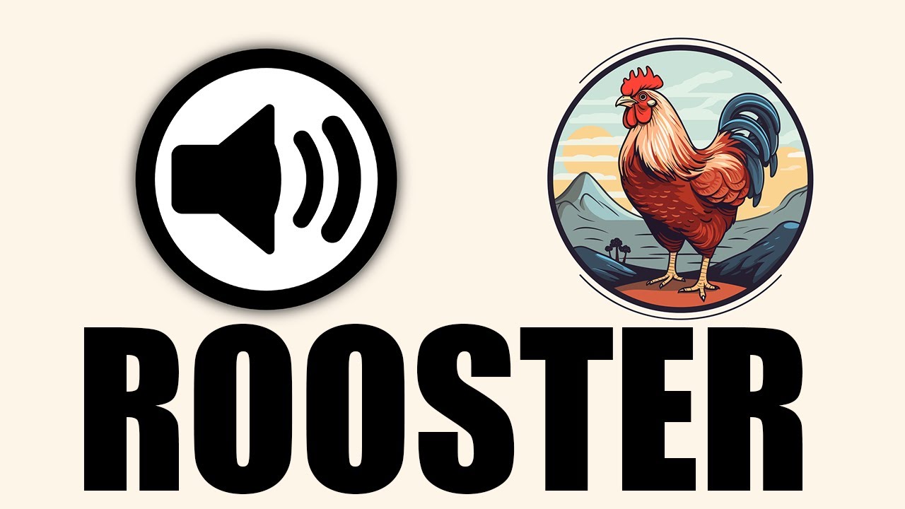 Rooster Sound Effect ( HD ) No Copyright - YouTube