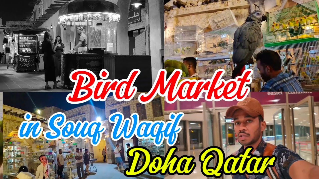 Bird 🕊️ market in Souq Waqif ll Irani market ll Doha Qatar.🇶🇦| - YouTube