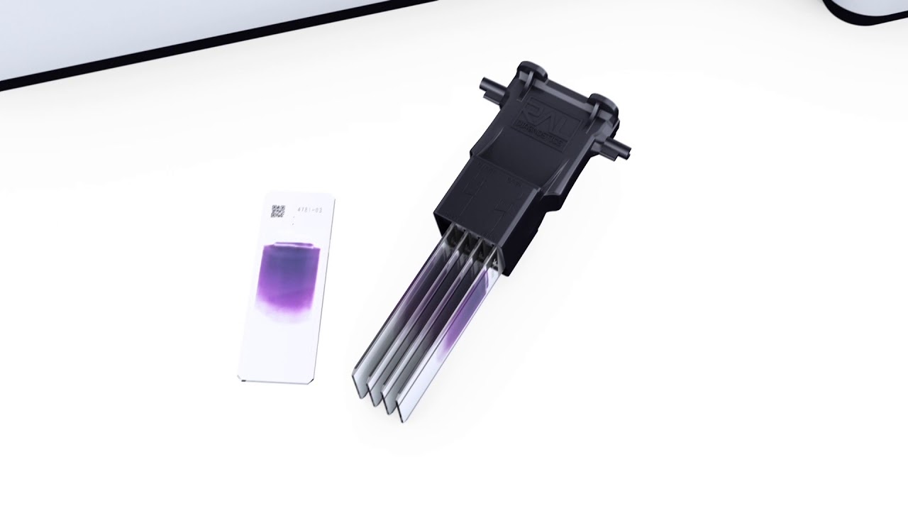 XP+RAL Stainbox EN 1080p - YouTube