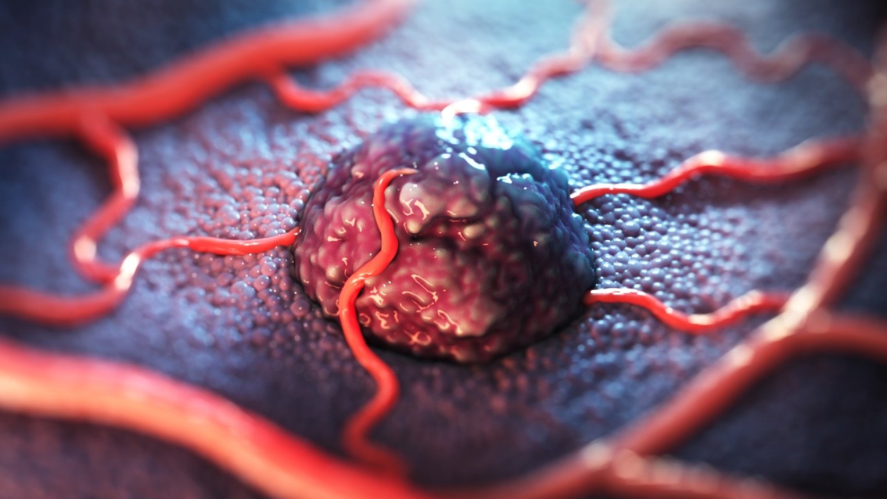 3D Scientific Animation: Oncology Drug Delivery MOA | AXS Studio - YouTube