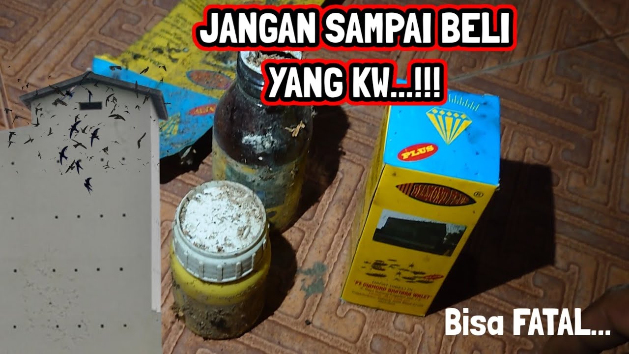 AWAS..‼️ Obat Hama WALET ada yang PALSU... || Tips Rumah Walet Sukses ...