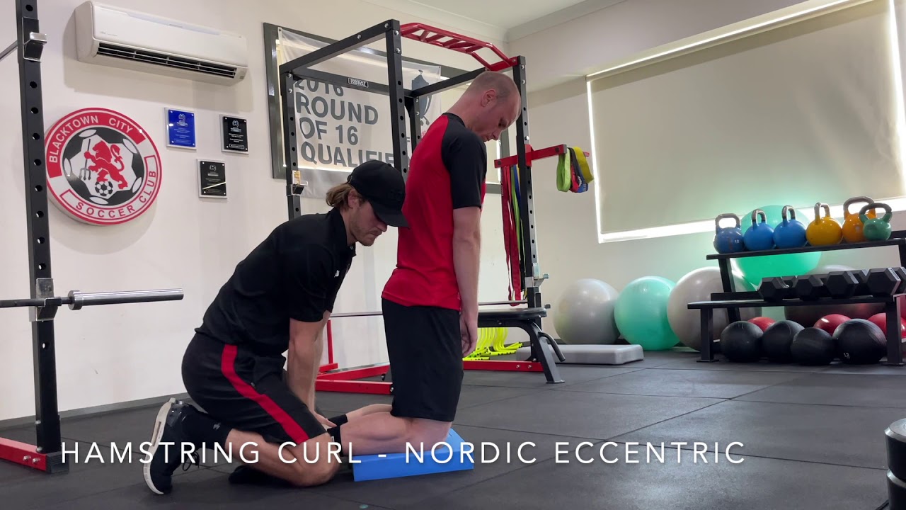 Hamstring Curl - Partner Assisted Nordic - YouTube