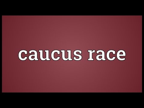 Caucus race Meaning