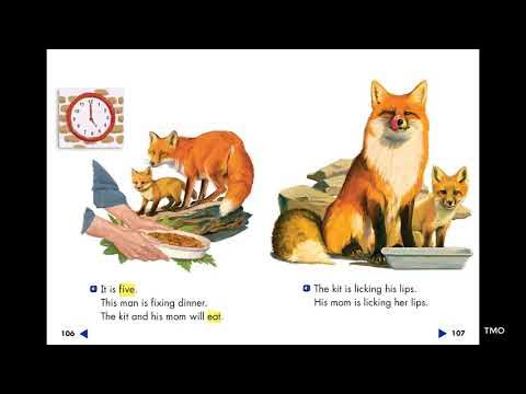 A Fox and a Kit - YouTube