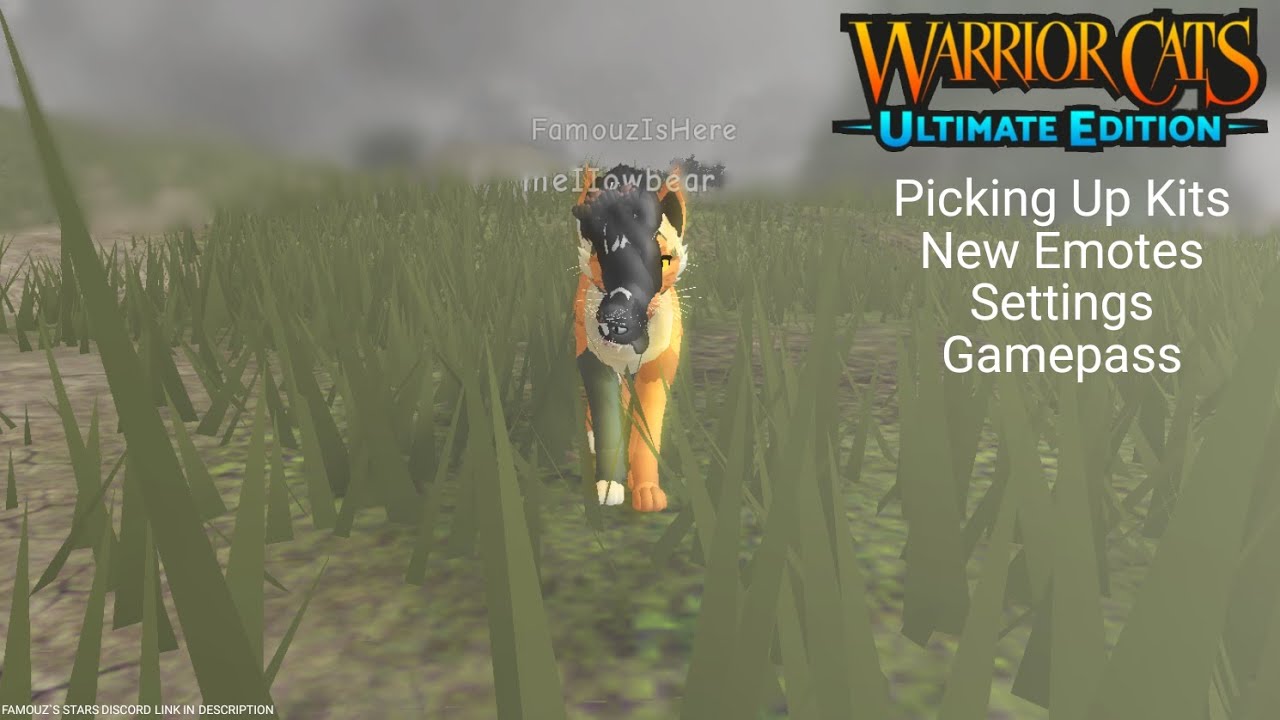 ROBLOX|New size, settings, emotes, and more!(Ft. Mellowbear)|Warrior ...