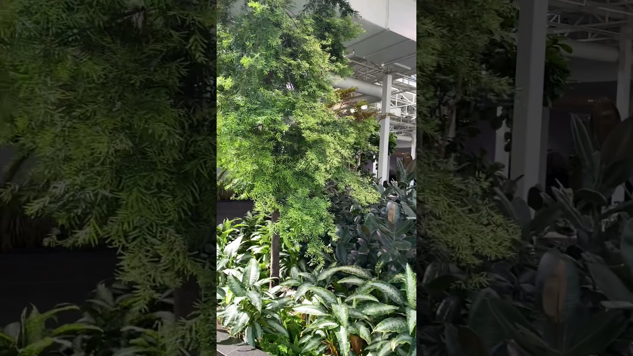 DEVONIAN GARDENS CALGARY - YouTube