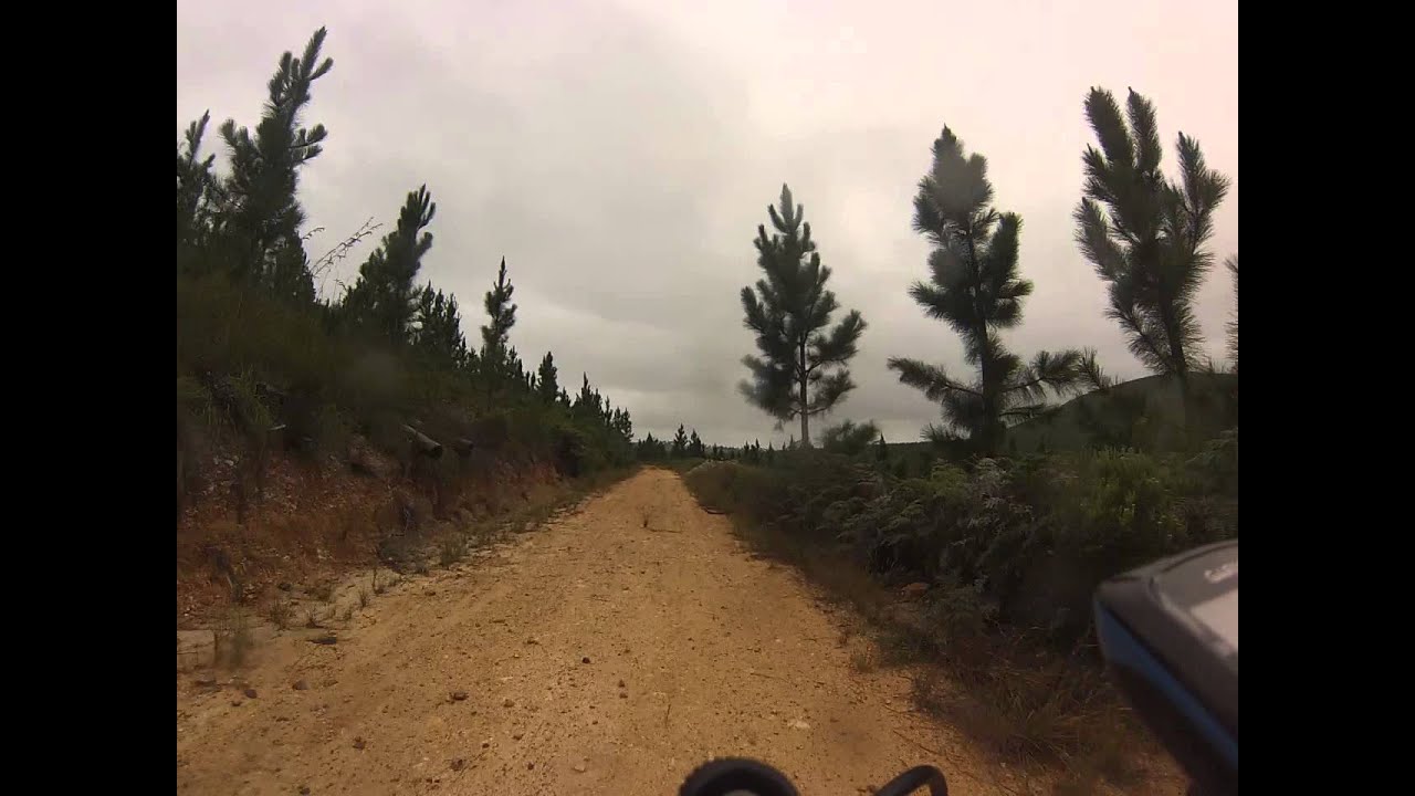 Mountainbiking in Longmore Forest - Port Elizabeth - South Africa - YouTube