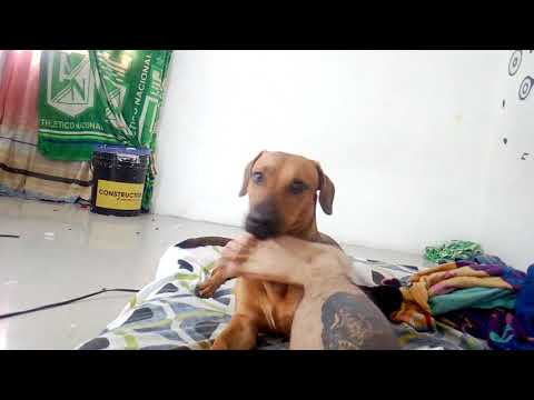 Haceme cosquillas