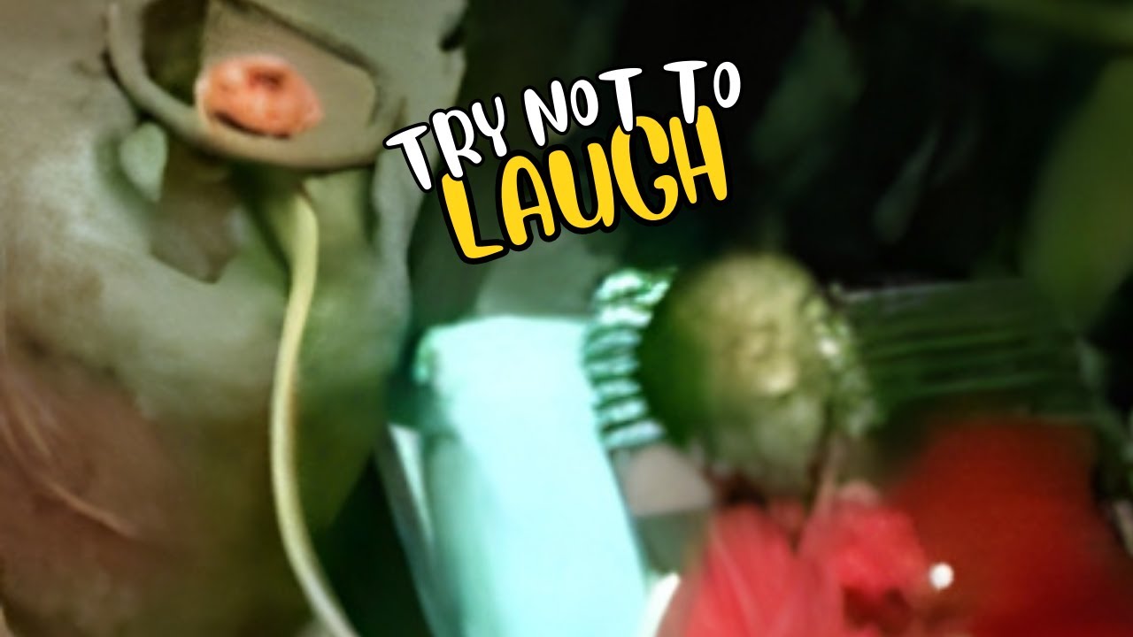 15 Hilarious Immature Adults - Can you survive without laughing to ...