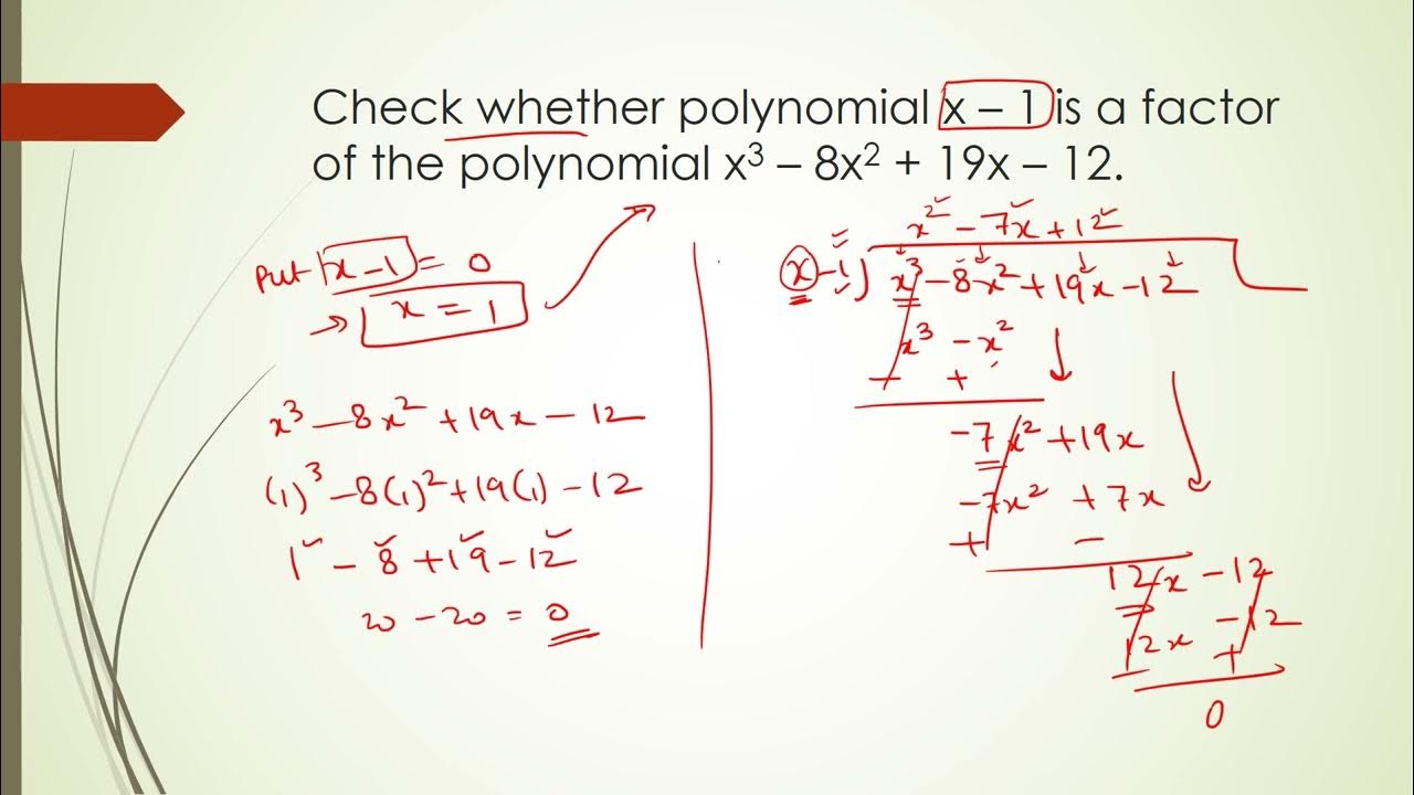 POLYNOMIALS Important Questions - YouTube