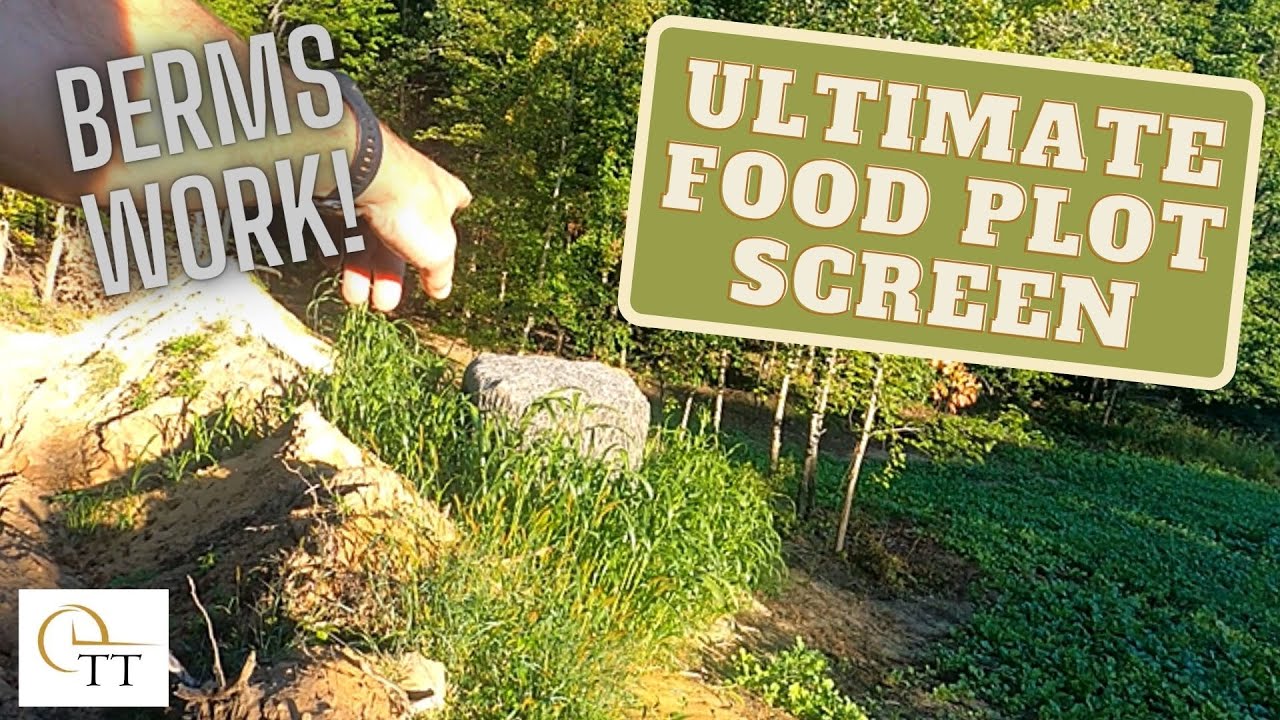 #34 Best Food Plot Screen - Dirt Berms Work - YouTube