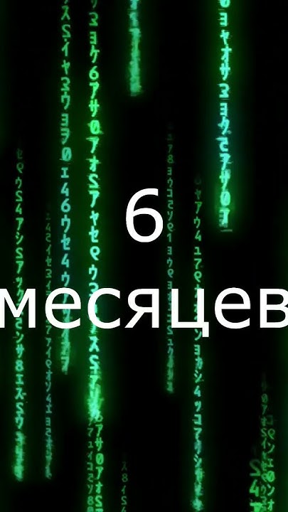 Как учатся программисты Youtube