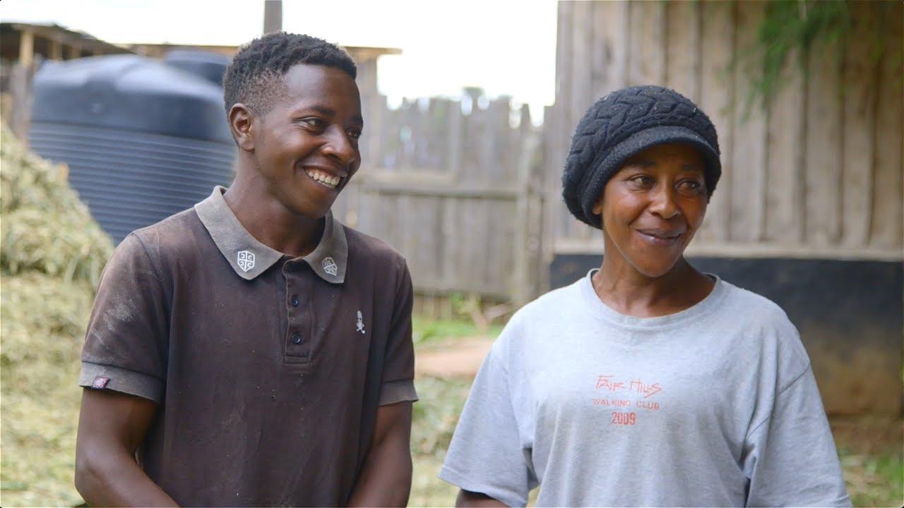 Shamba Shape Up Series 14 – Episode 16: Silage Making, Milk Quality and ...