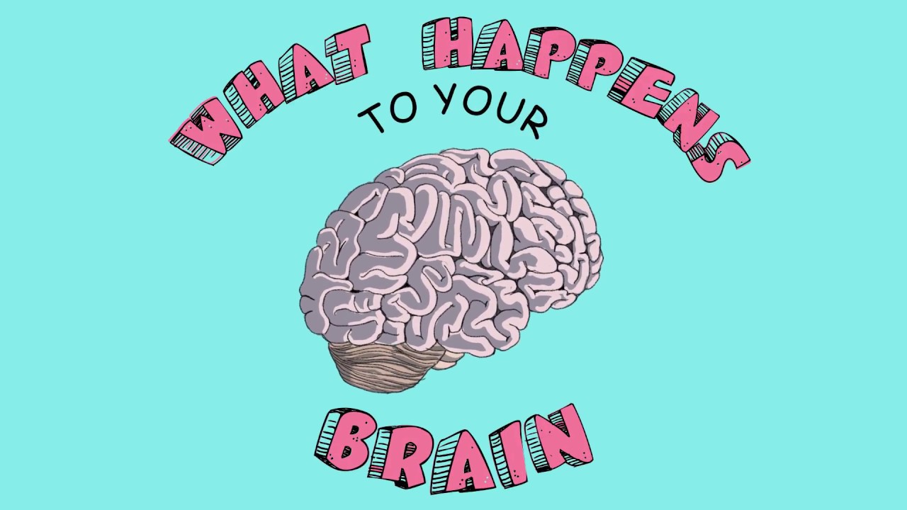 What Happens to Your Brain on Vacation! - YouTube