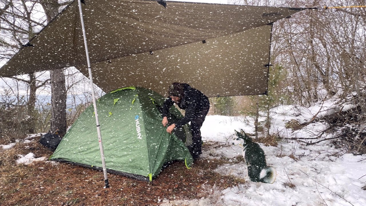 Winter Camp With My Dog / Tarp Shelter Set-up / Solo Camping / Cold ...