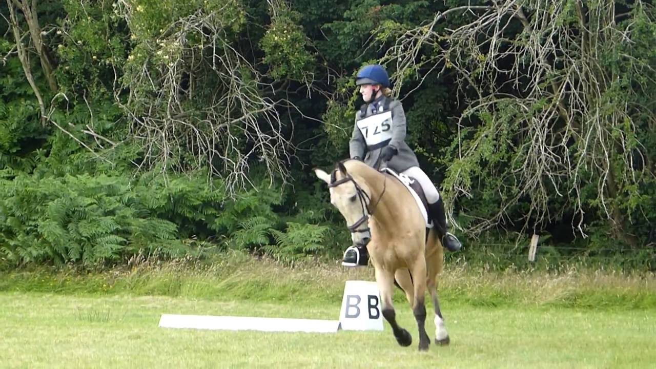 Pony Club Area Eventing - YouTube