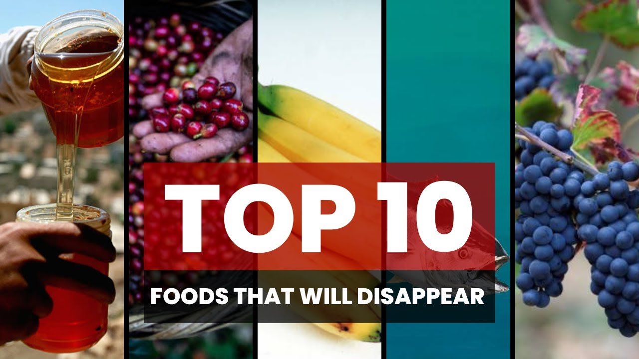 Top 10 Must-Try Foods Before They Disappear Forever 🍽️🌍 - YouTube