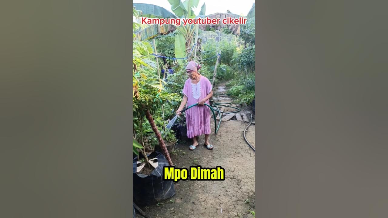 🔴 Mpo Dimah pagi hari ‼️ - YouTube
