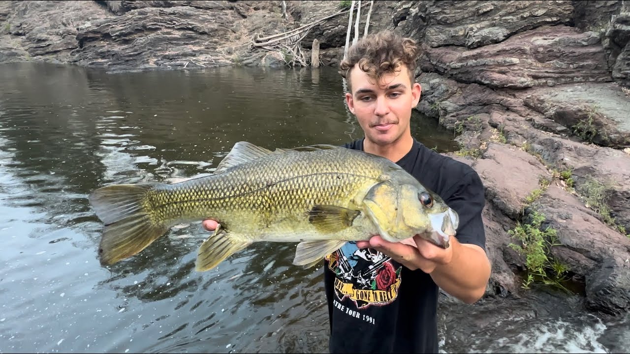 Rainforest To Rock Pools (Bass Adventures) - YouTube