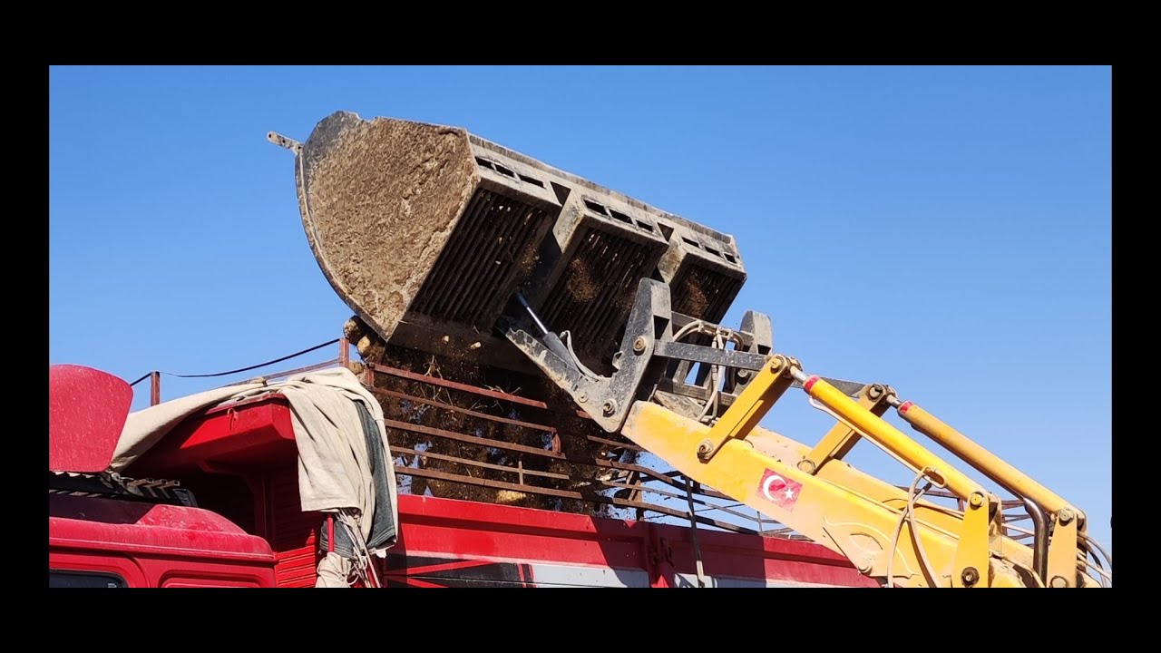 BEKO LODER JCB HİDROMEK kamyona Pancar yükleme kovası - YouTube