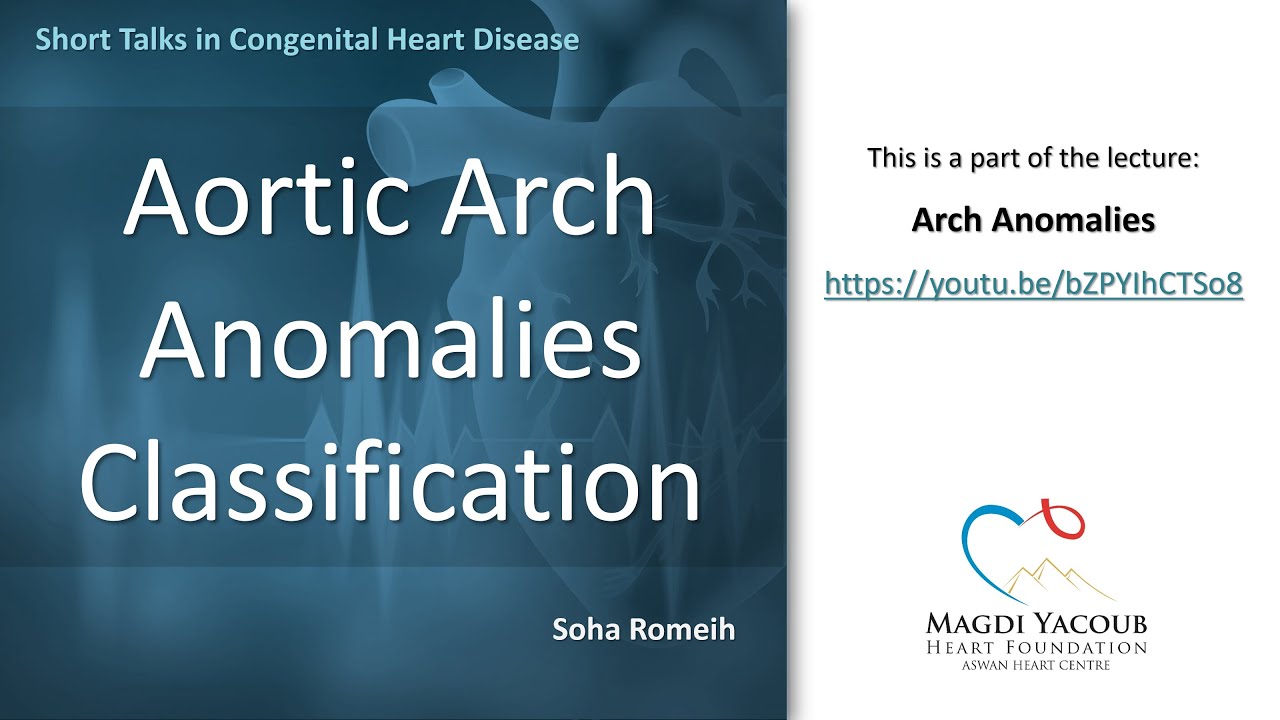 Aortic Arch Anomalies Classification - Soha Romeih - YouTube