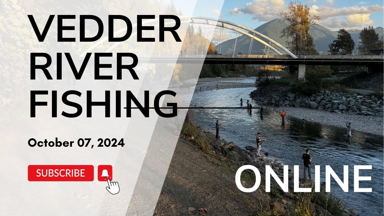 Vedder River Salmon fishing. October 2024. Online. - YouTube