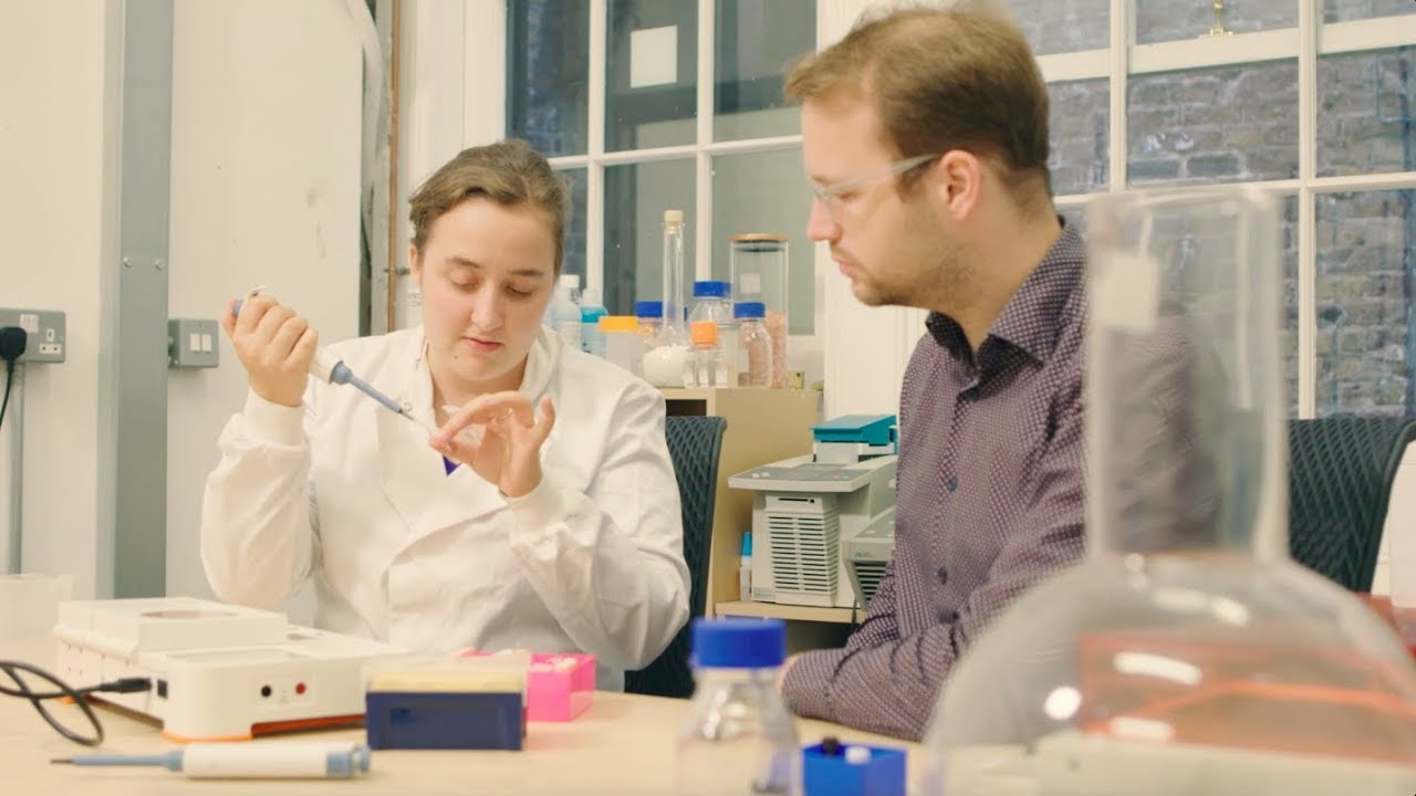 Bento Lab: Making DNA Analysis More Accessible - YouTube