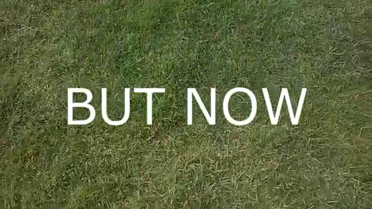 FINAL USB PET ROCK COMMERCIAL - YouTube
