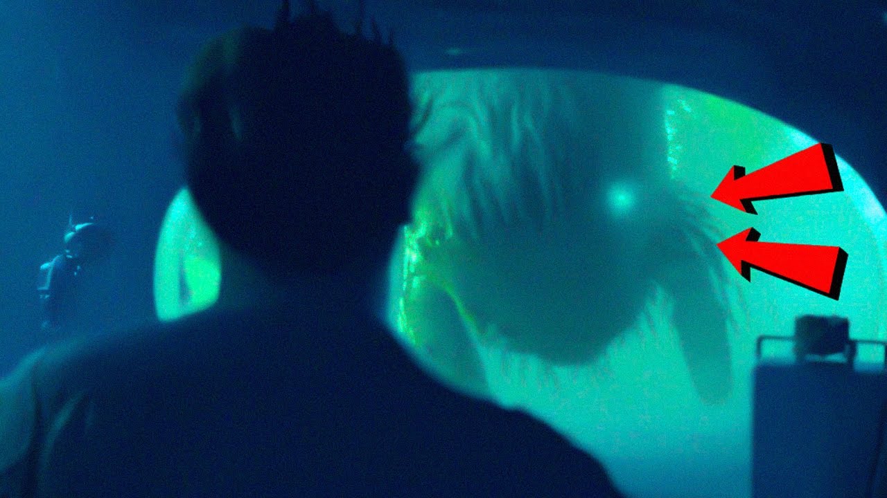 Real Kraken Monster Encounters Caught on Camera - YouTube