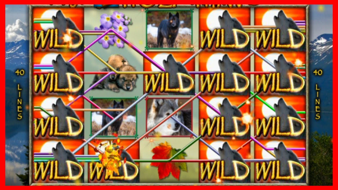 IS WOLF RUN 2 BETTER THAN WOLF RUN CLASSIC? 💰 ($40 BETS) 💰 OLD BUT GOLD ...