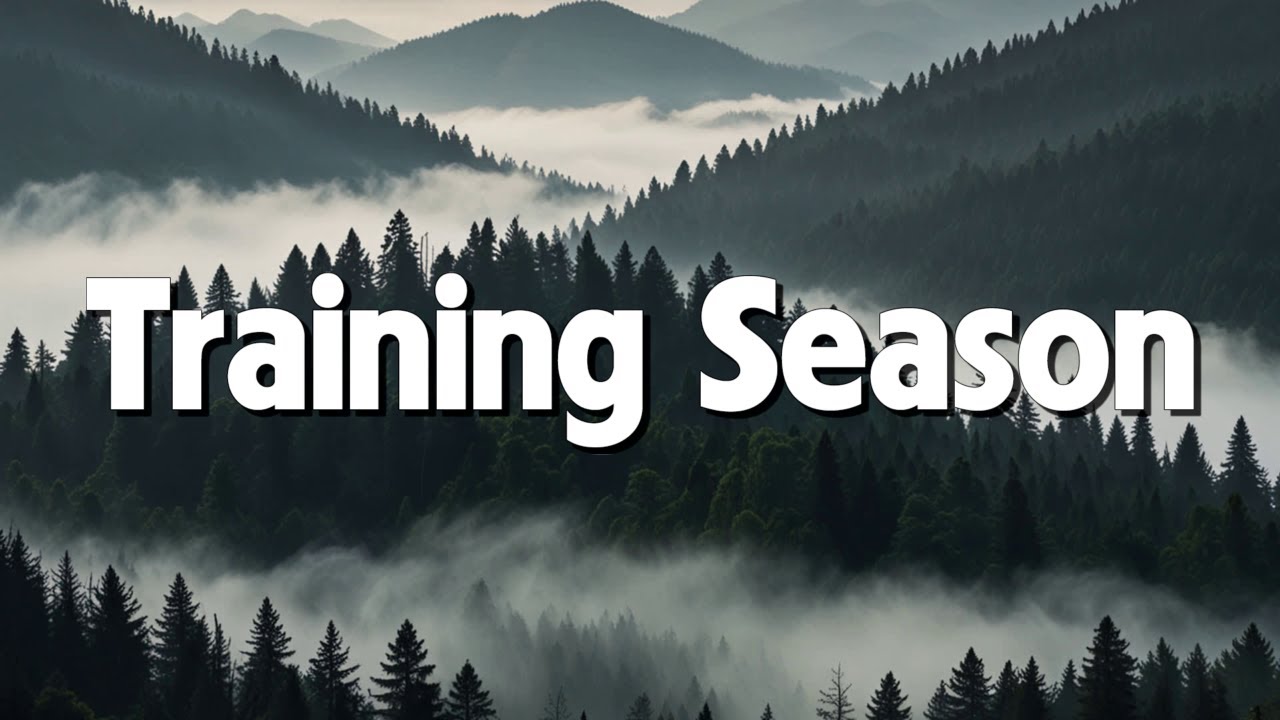 Training Season - Dua Lipa (Lyrics) - YouTube