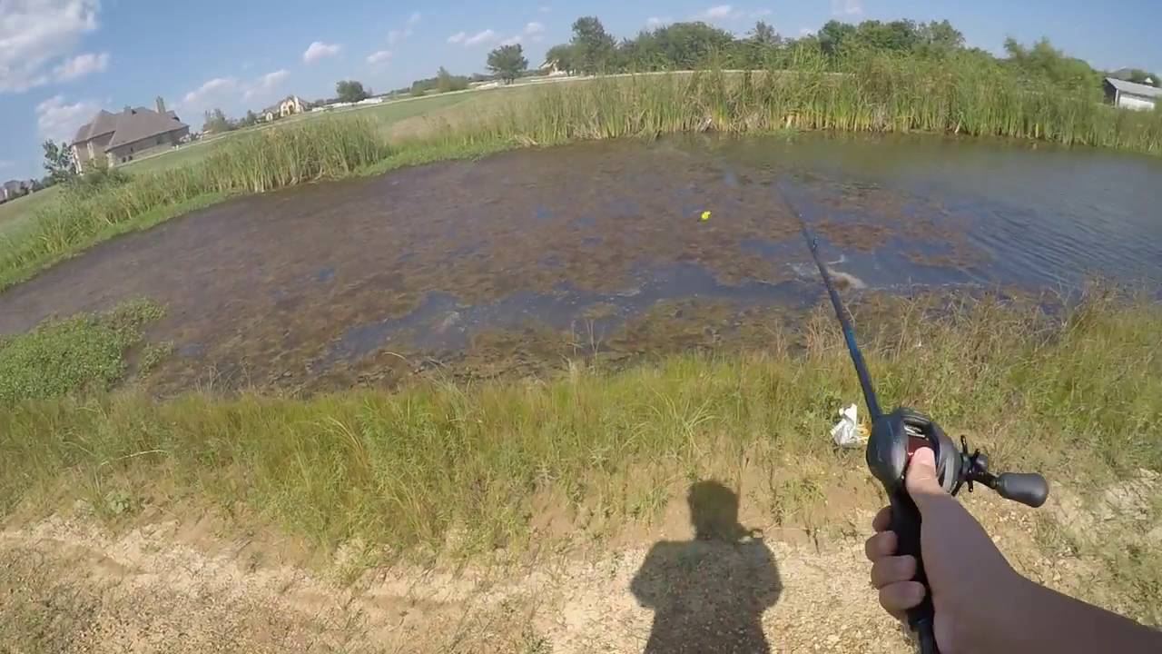 first youtube fishing video - YouTube