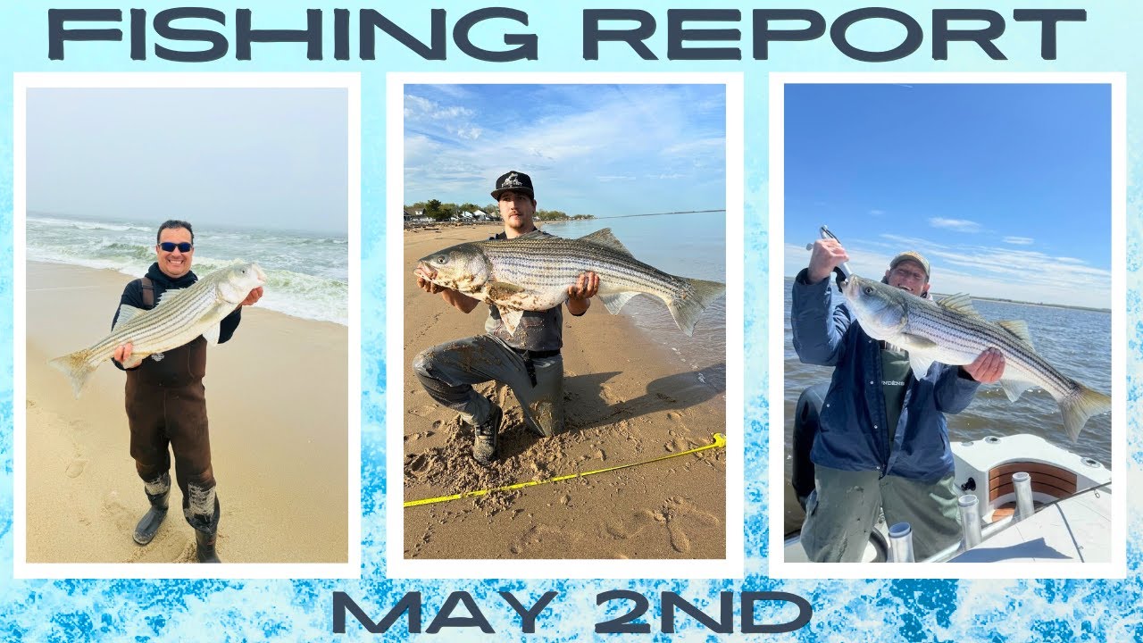 New Jersey Fishing Report May 2nd #fishingreport #surffishing # ...