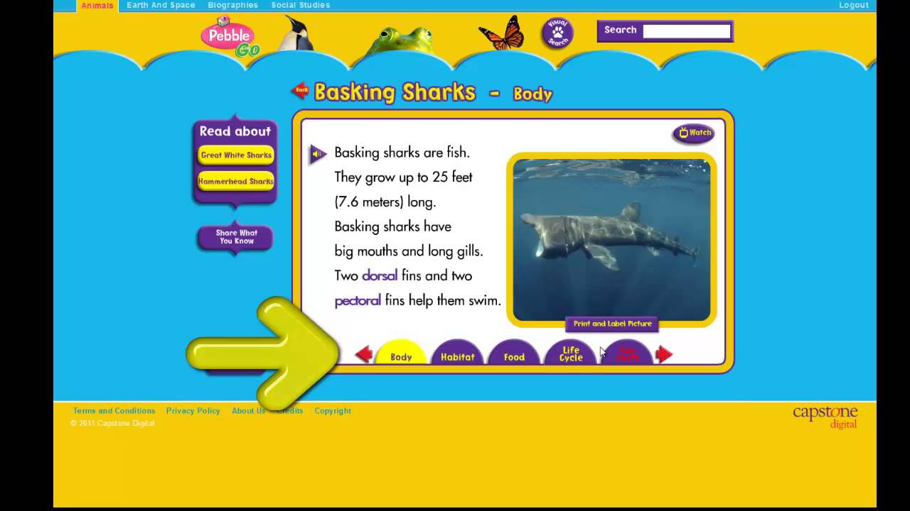 Pebble Go Software Review - YouTube