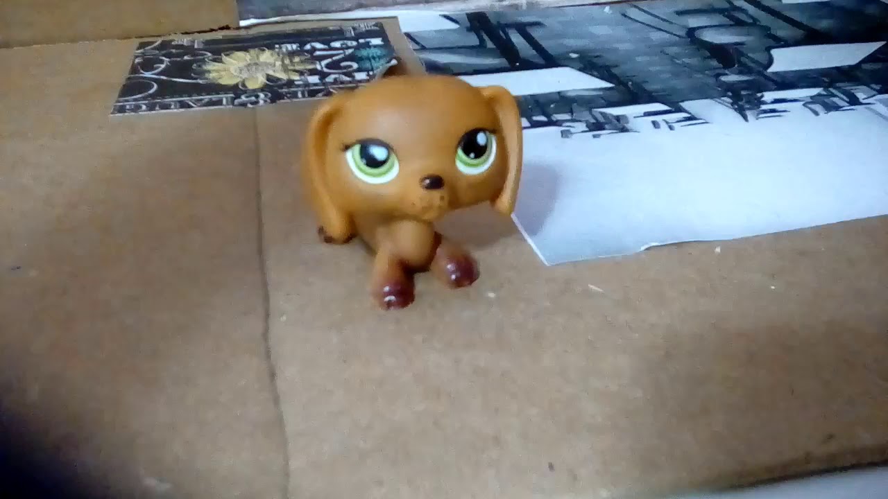 LPS ECHO PRODUCTIONS PLZ WATCH - YouTube