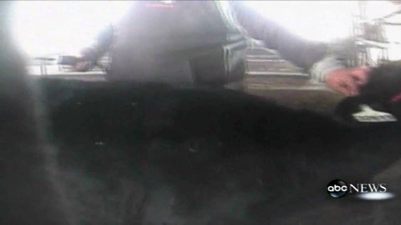 cow Tail Docking Video - YouTube
