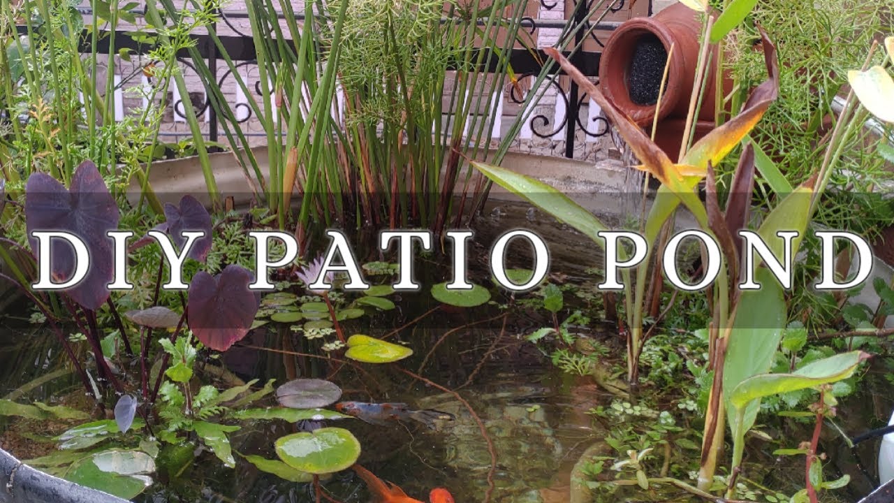 DIY Garden/Balcony planted patio fish pond - YouTube