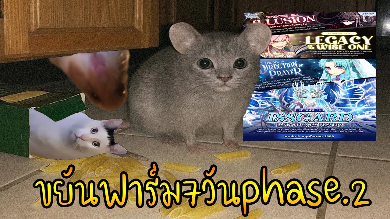 [RO_GGT]Hyper Noviceหัดเล่น หมดตัว.แอบฟาร์ม - YouTube