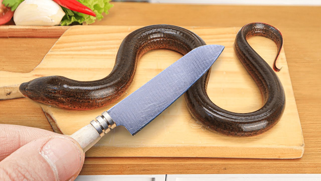 Miniature 🐍 Eel Fishing From PVC and Cooking Delicious Eel Flamin' Hot ...