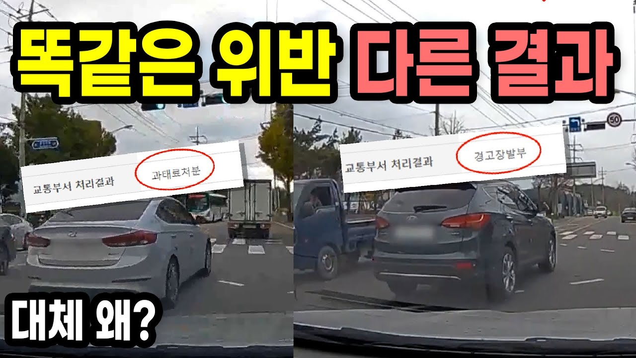 13553회 직진금지 차로에서 직진하는 차를 신고했는데 한 번은 과태료 처분 한 번은 경고장 발부 똑같은 지시 위반인데 왜