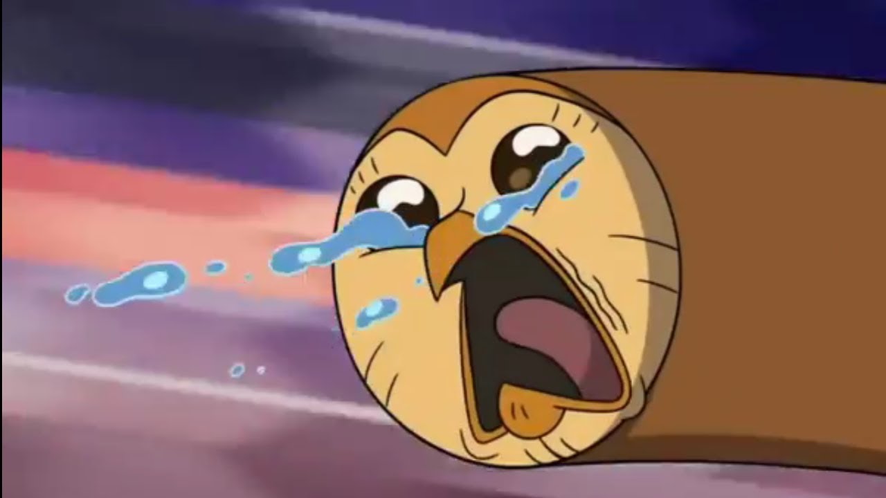 Hooty being sad after trying to help for 42 seconds straight - YouTube