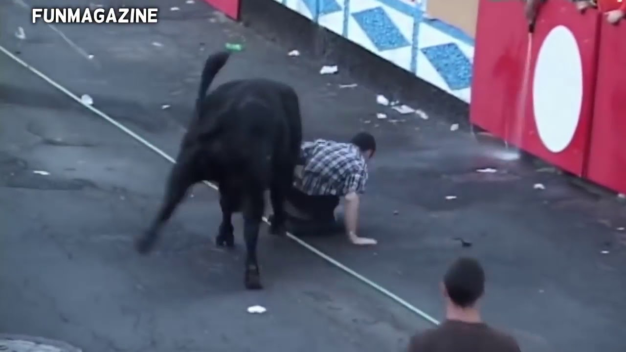 Funny videos 2017 - Stupid people doing stupid things - Bull Fighting ...