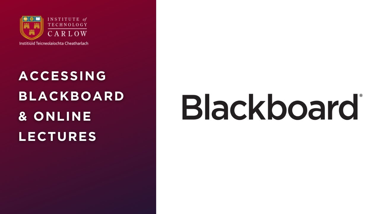 5. Accessing Blackboard & Online Lecturers - YouTube
