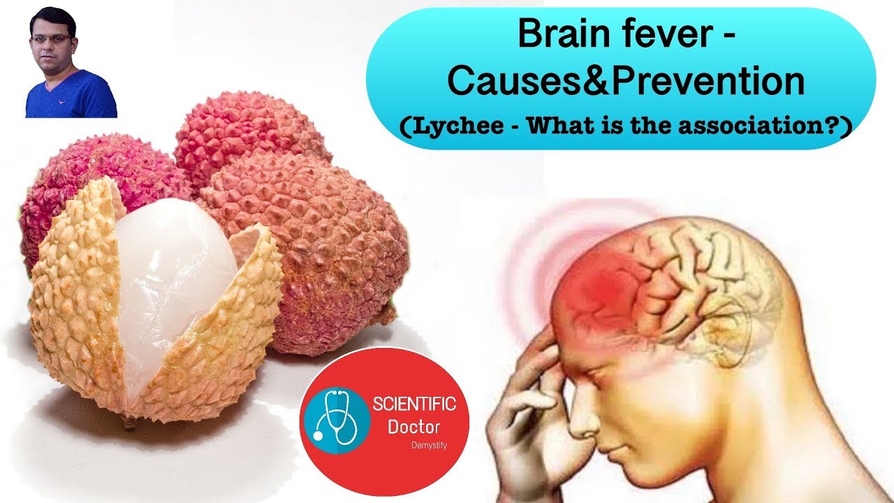 Brain Fever | Causes & Prevention | Lychee - What is the association ...
