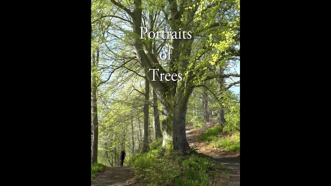 Portraits of Trees | Max Adams - YouTube