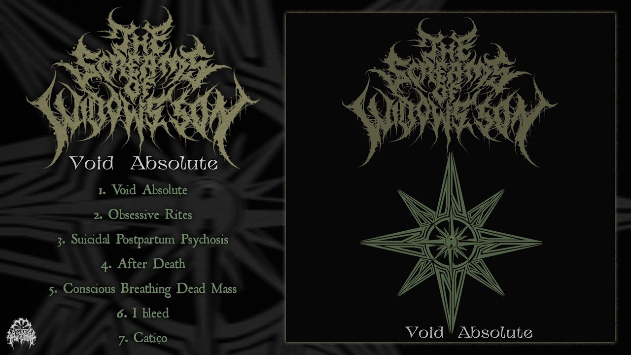 THE SCREAMS OF WIDOW'S SON - Void Absolute (Full EP Stream - 2023 ...