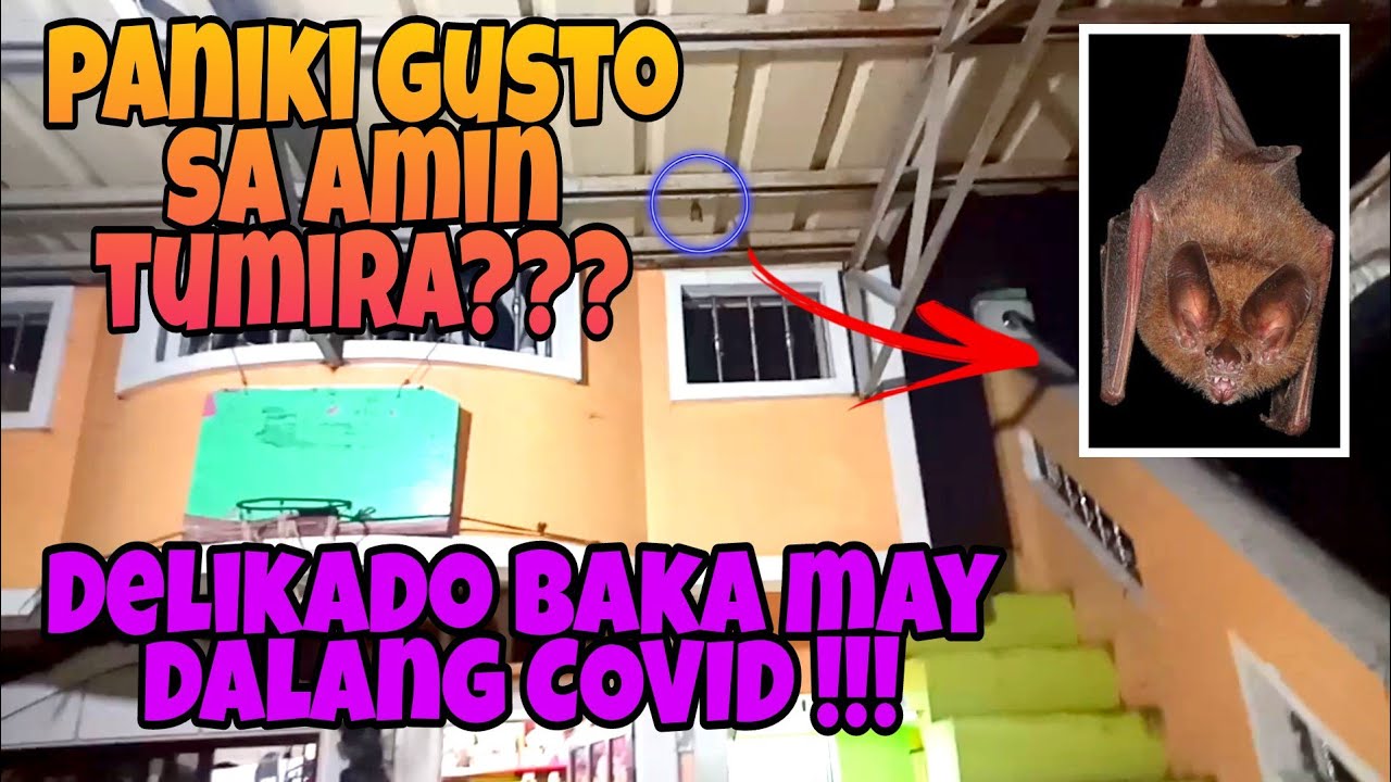 MAY PANIKI SA BAHAY DELIKADO BAKA MAY DALANG COVID !!! - YouTube
