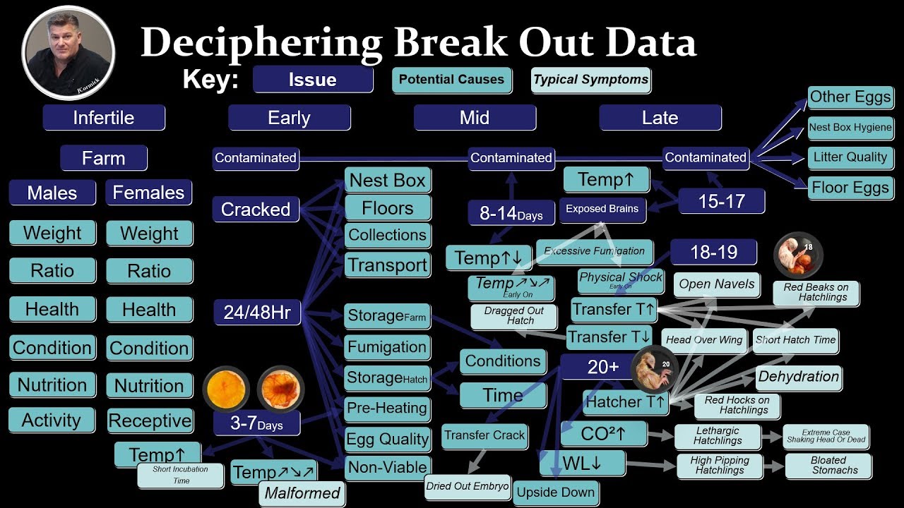 Hatchery Tips: Deciphering Your Breakout Data - YouTube